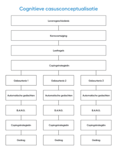 Hoe maak je een goede holistische theorie (CGT) als psycholoog ...